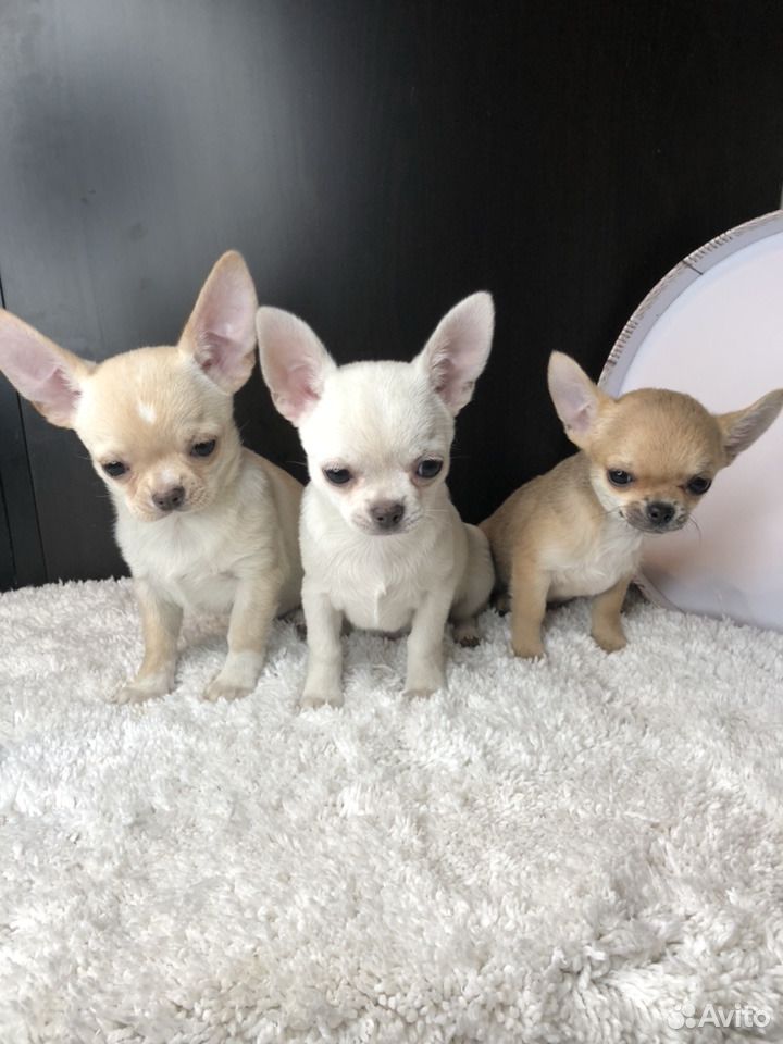 Крутые пацаны