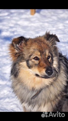 Малышка Фея