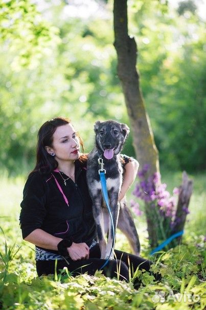 Массандра в поисках дома