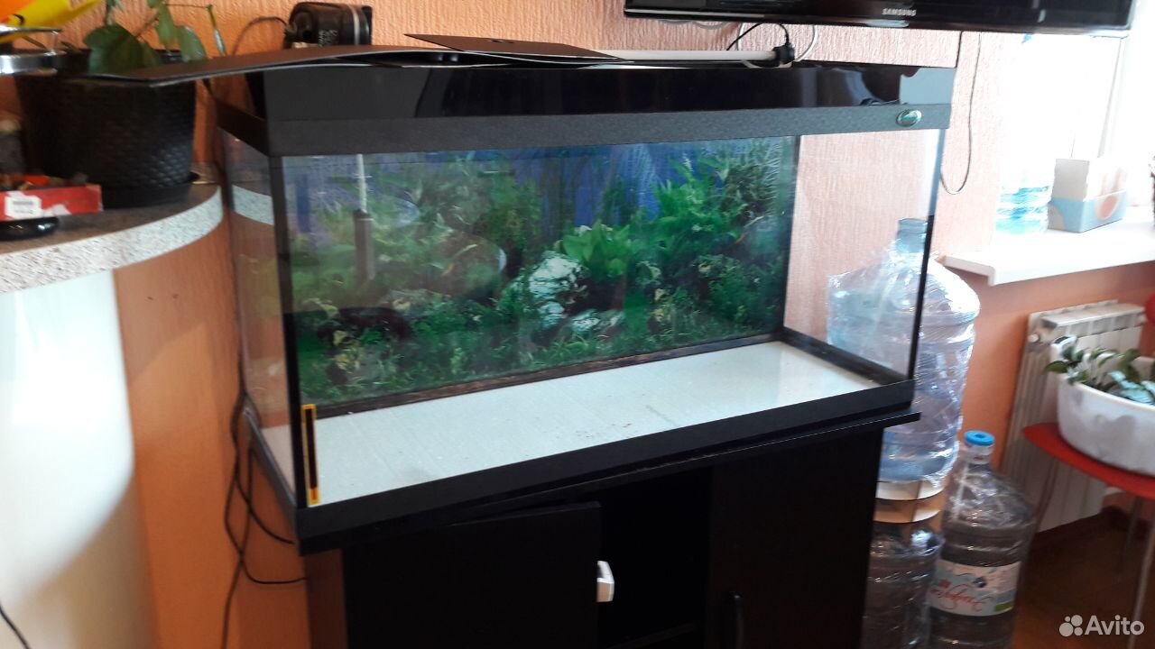 Продам аквариум с тумбой б/у и светом