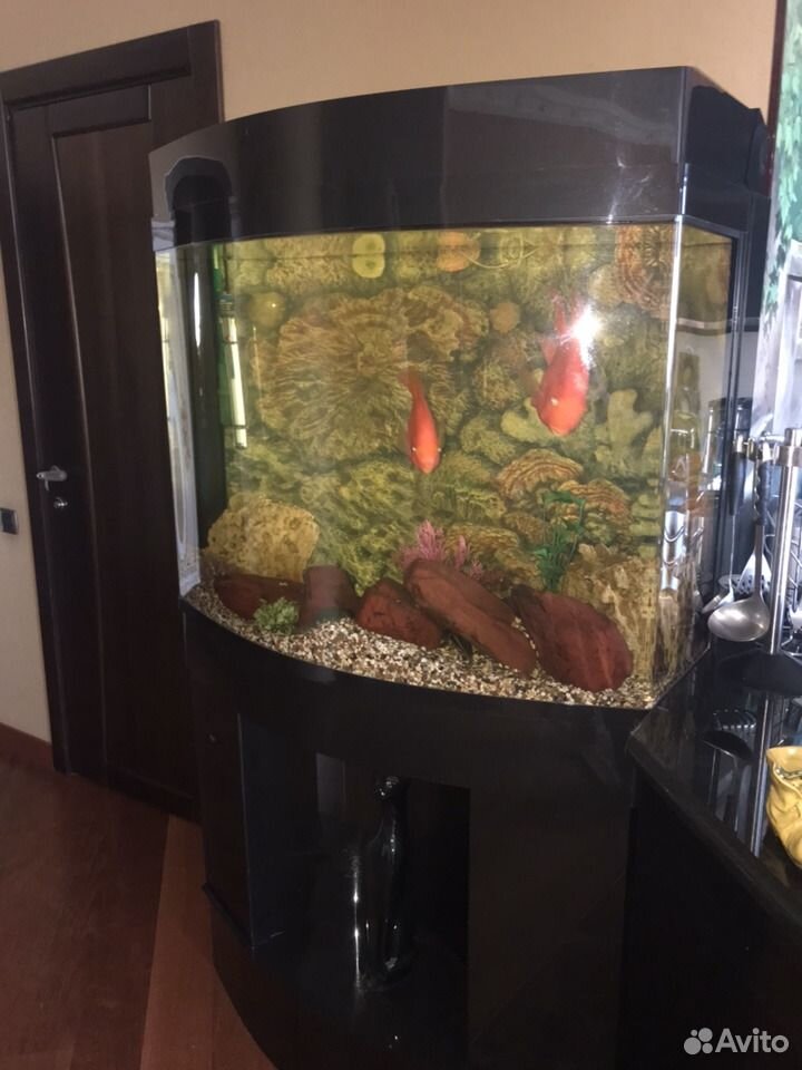 Аквариум