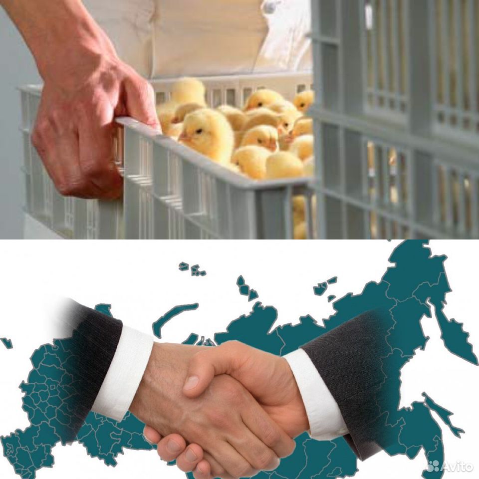 Приглашаем к сотрудничеству