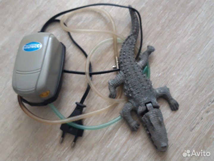 Крокодил в аквариум