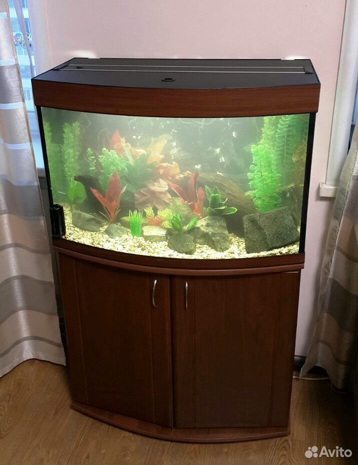 Аквариум с доставкой