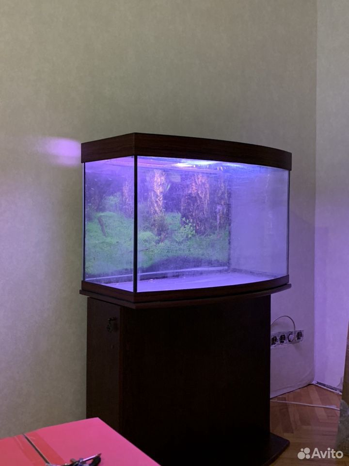 Аквариум панорама 180л с тумбой