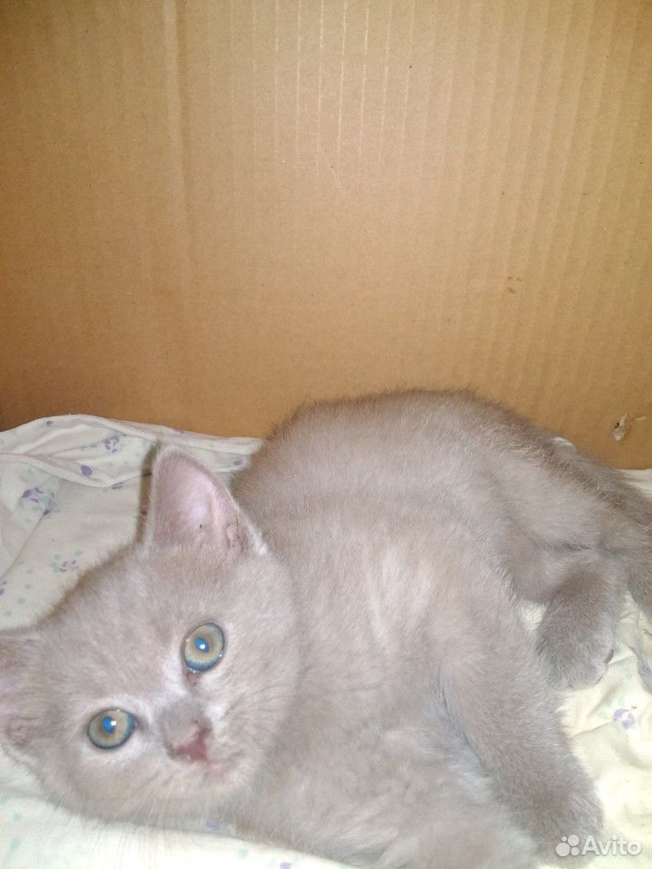 Нереально красивая девочка