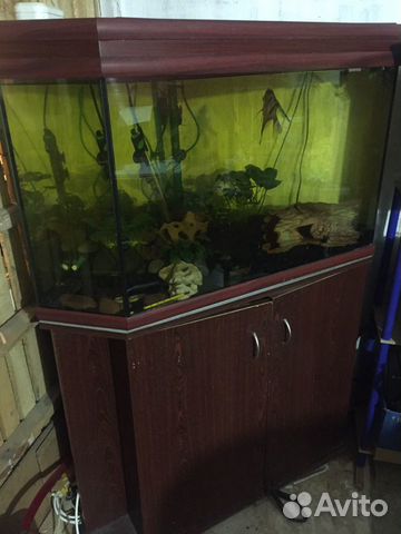 Аквариум 180 литров