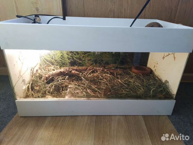 Террариум для рептилий