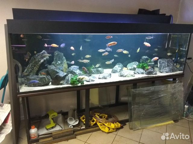 Аквариум 900 литров