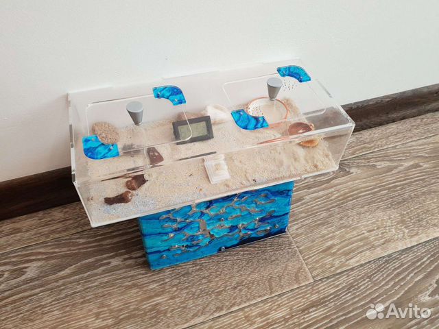 Муравьи с фермой