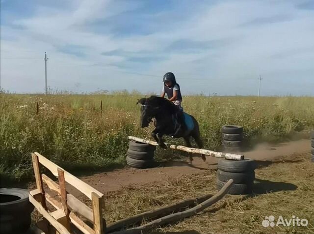 Пони жеребчик