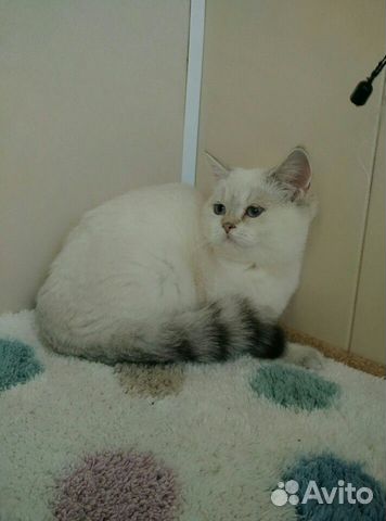 Голубоглазые брат и сестричка