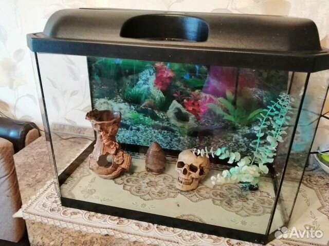 Аквариум