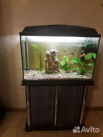 Аквариум
