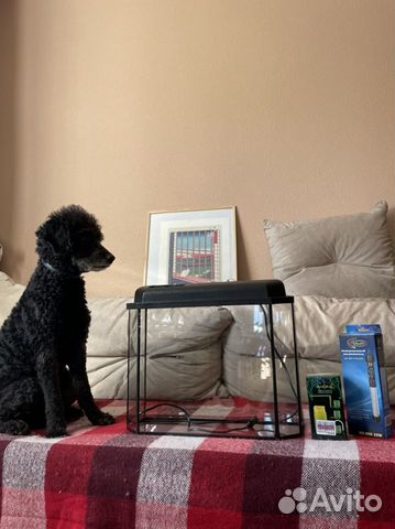 Аквариум 20 литров с фильтром и грелкой