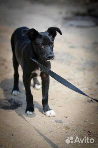 Спайки в добрые руки