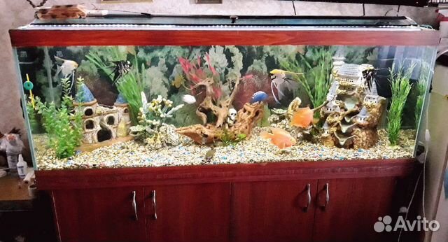 Продам аквариум