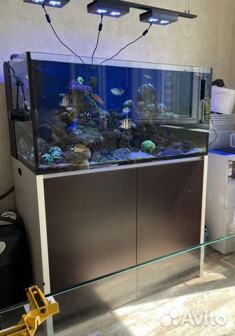 Морской аквариум elos 100 sistem 285 литров