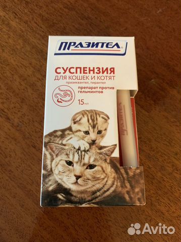 Празител. Суспензия для кошек и котят