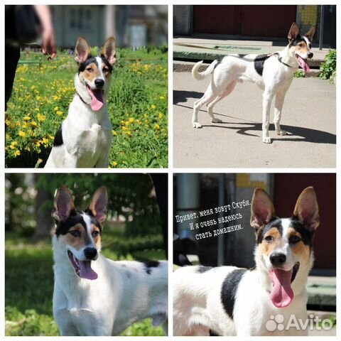 Он еще не знает, что от него отказались