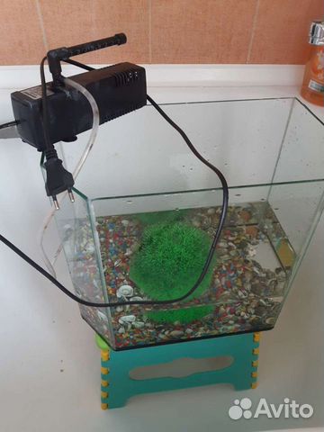 Аквариум