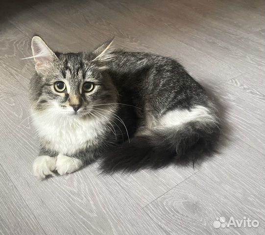 Дворовая