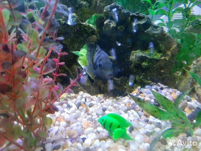 Аквариум с тумбой