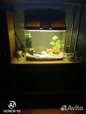 Аквариум