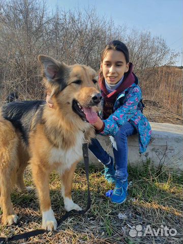 Молодой мальчик красавчик ищет дом и семью. Привит