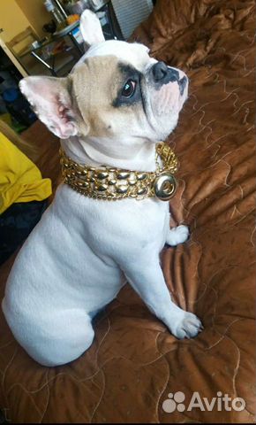 Француженка вязка