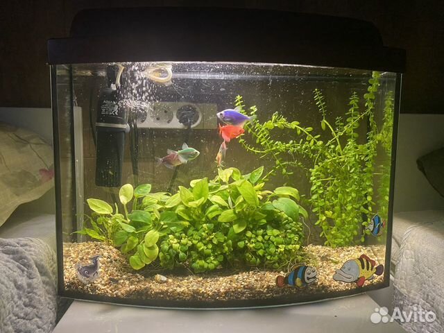 Аквариум