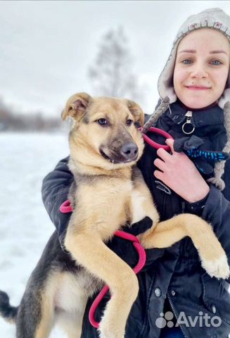 Спасите малышку из приюта