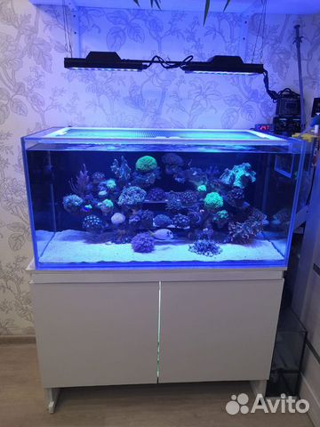 Морской аквариум