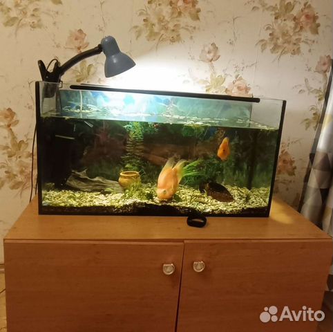 Аквариум
