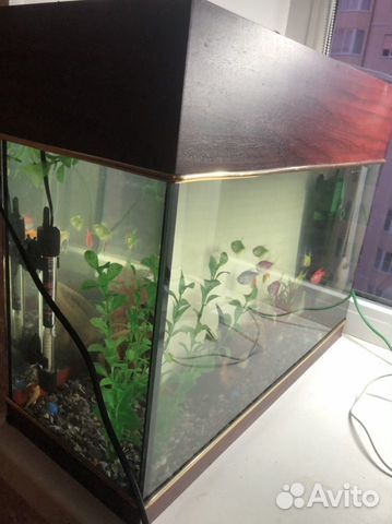 Аквариум с рыбками