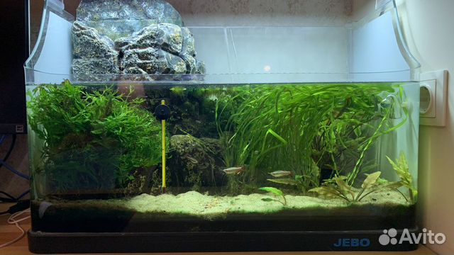 Jebo 660R аквариум палюдариум 79/50 литров
