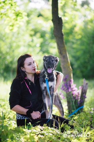 Массандра в поисках дома