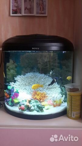 Аквариум 80 лит