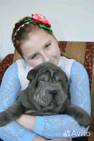 Любимый Малыш