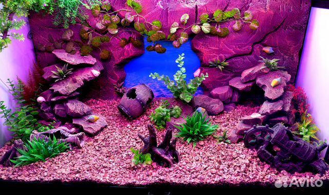 Аквариум 435 литров на тумбе Венге, 3D фон