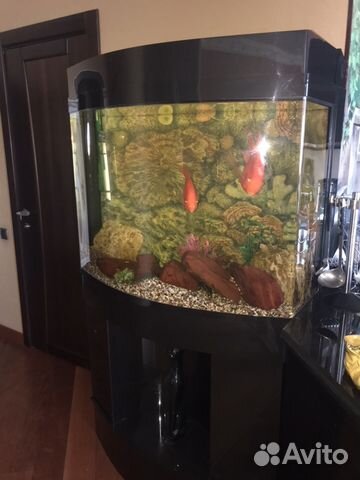 Аквариум