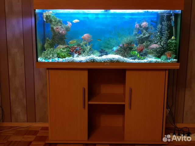Аквариум Juwel 240 л с тумбой