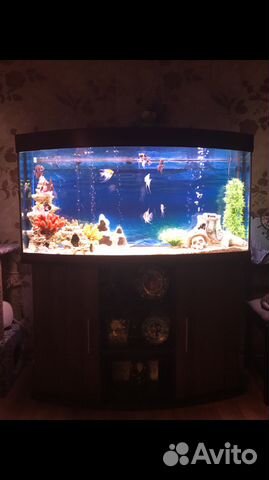 Продаю панорамный аквариум 320 л