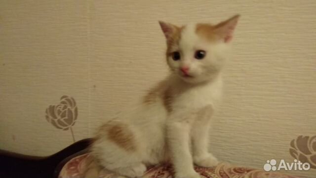 Лучик солнышка