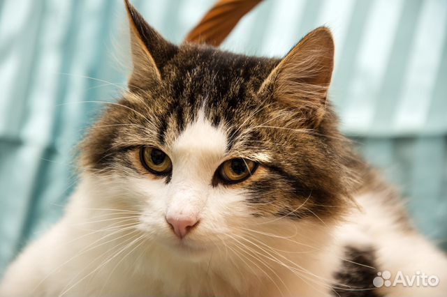 Яша 10 месяцев