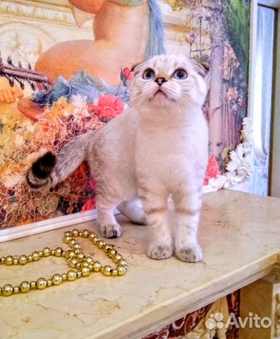 Кому не хватает синих глаз - милости просим