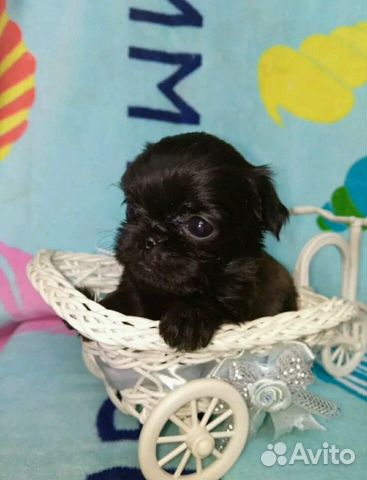 Гламурная супер мини девочка