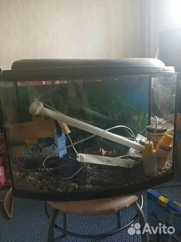 Аквариум