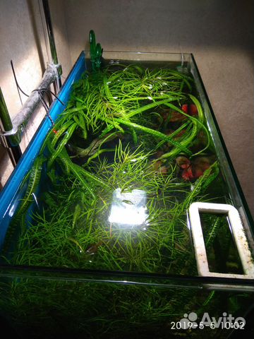 Аквариум в сборе 150л