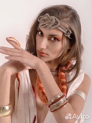 Маисовый полоз